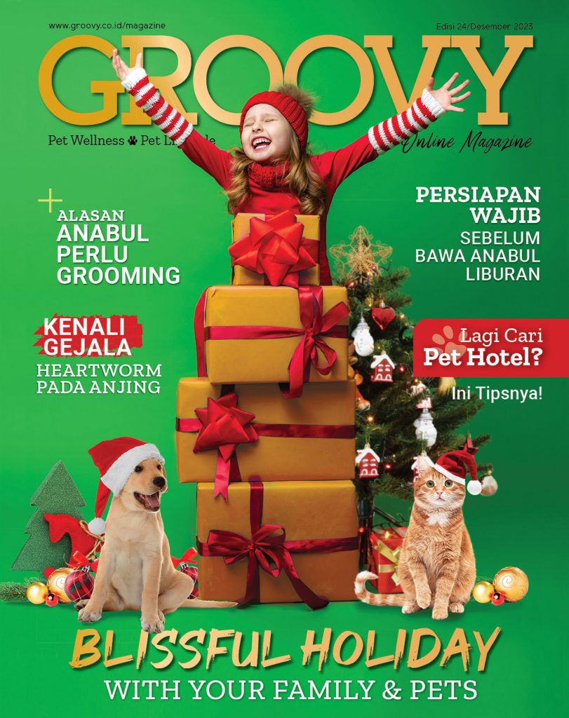 Magazine – Official Groovy Website