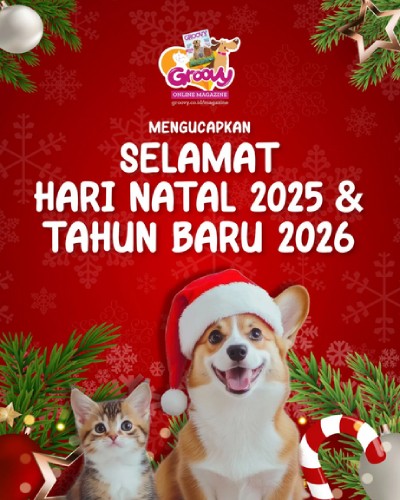 Selamat Natal 2025 dan Tahun Baru 2026! – Official Groovy Website